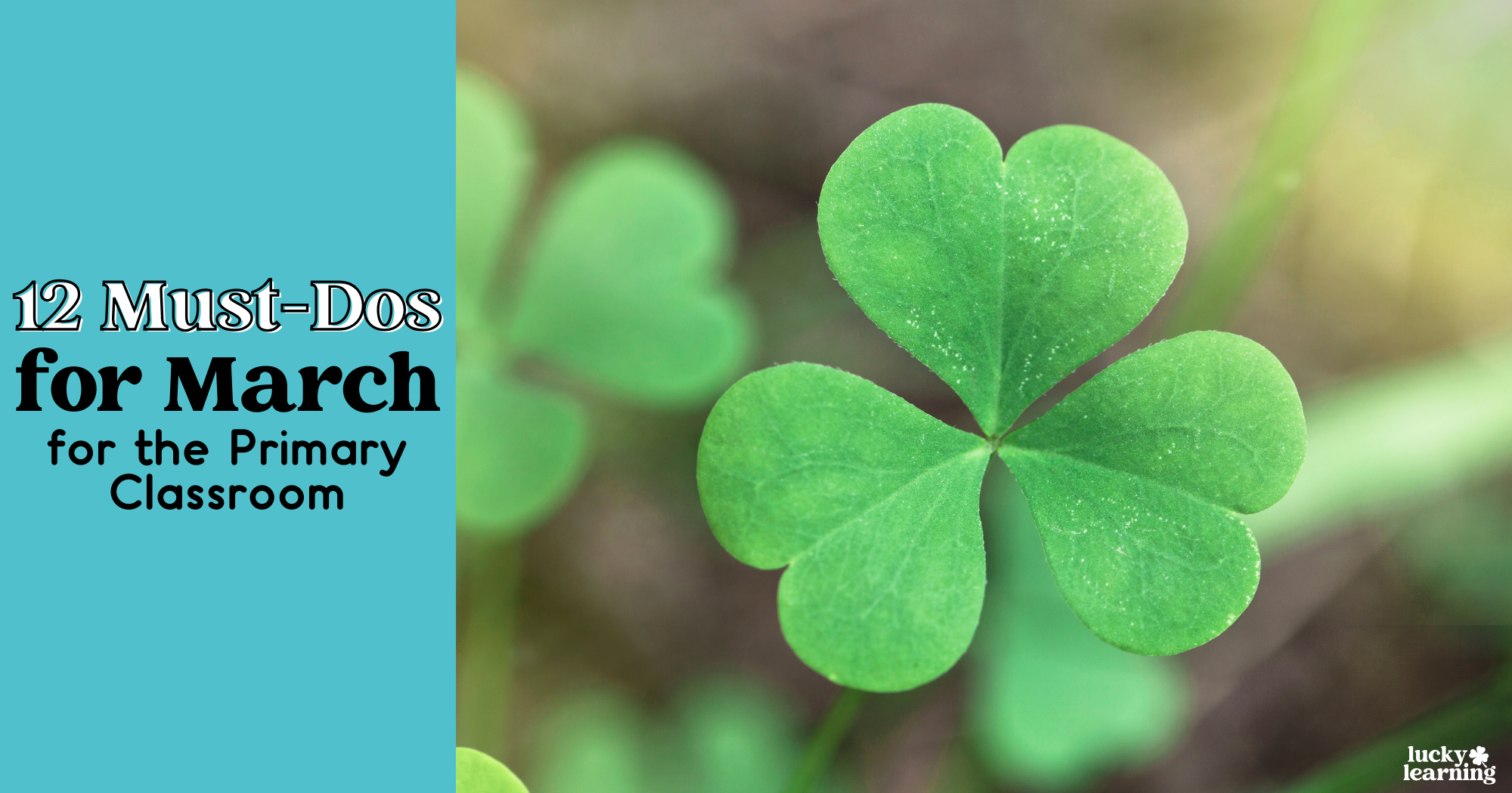 12 Must-Do March Activities for Students, Including March Madness