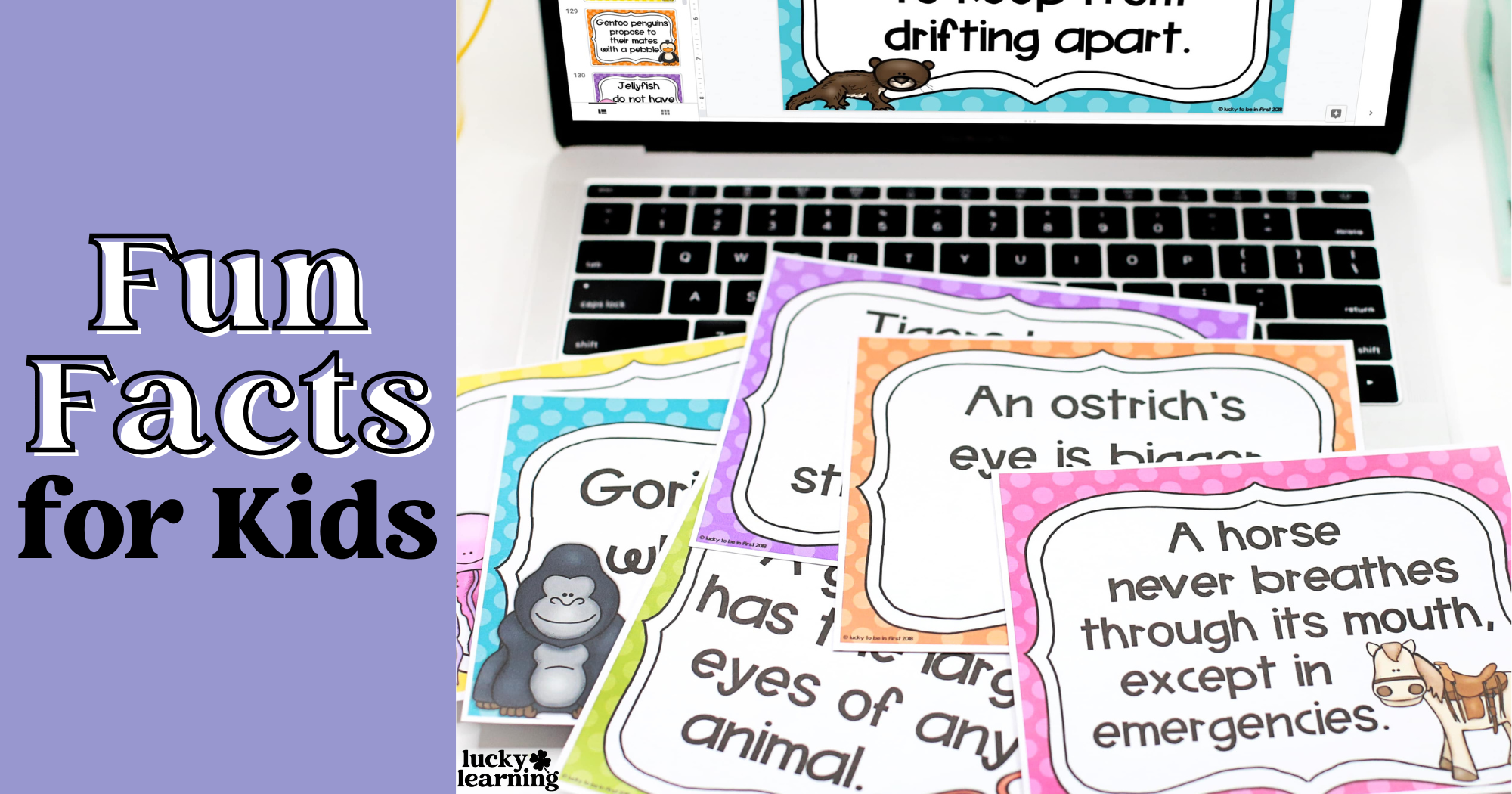 Fun Facts for First Graders: Posters & Bulletin Board Ideas