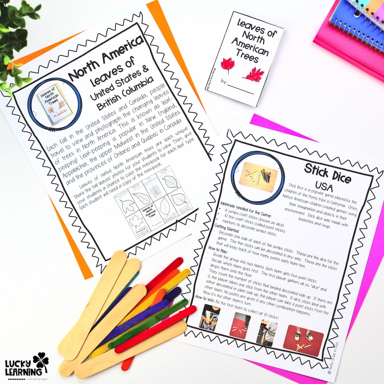Uncovering Fun Facts About Every Continent: World Geography Activities ...